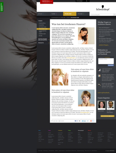 Concept: Schwarzkopf | David Hellmann — Digital Designer & Developer