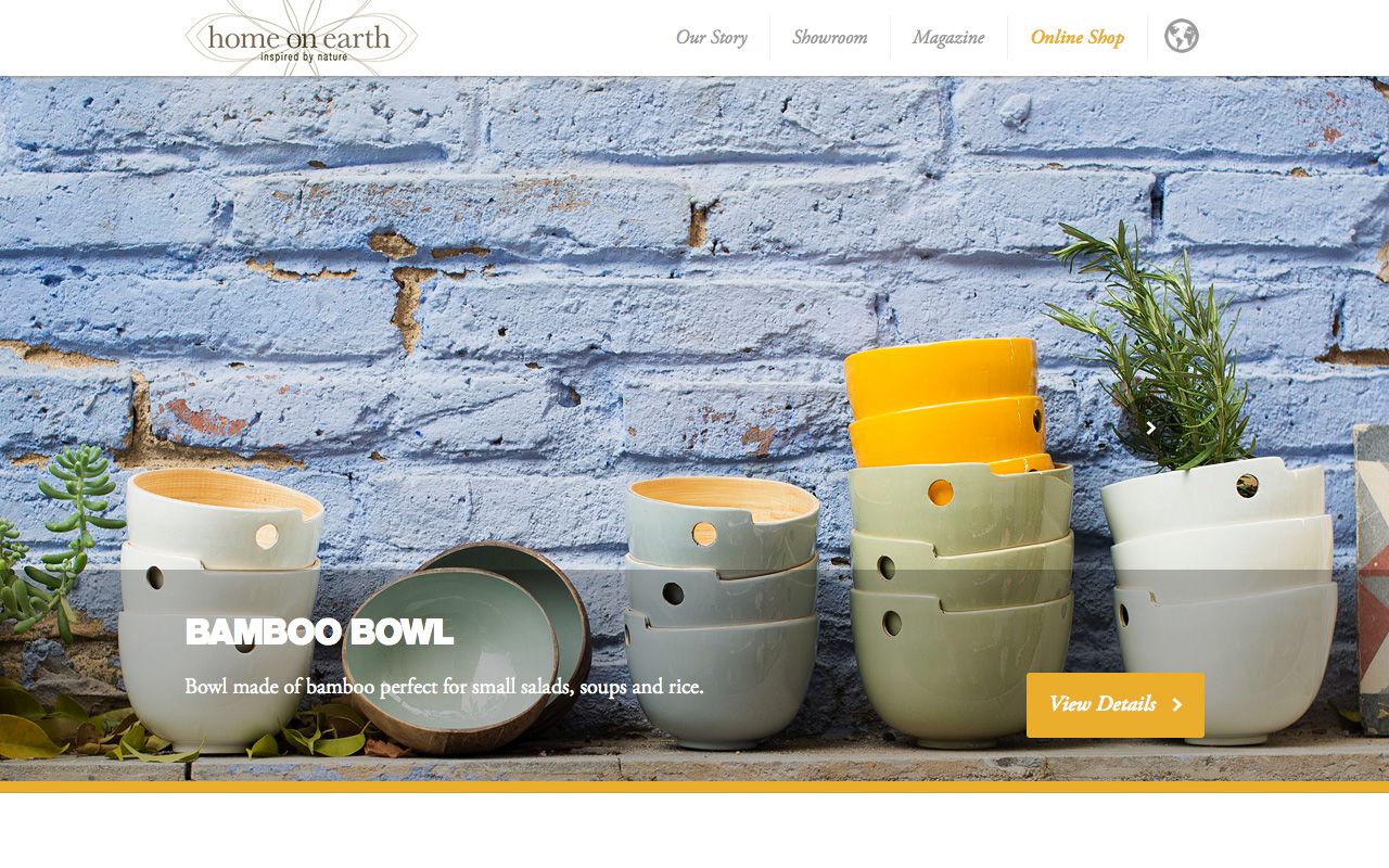 Home on Earth | David Hellmann — Digital Designer & Developer